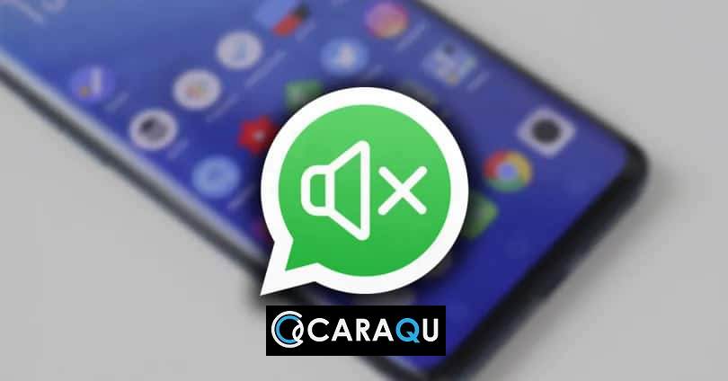 5 Cara Mengatasi Notifikasi WA Tidak Bunyi (Semua Type HP)